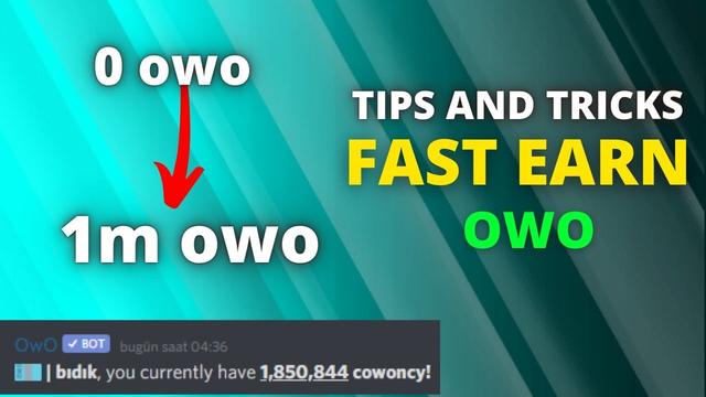 How to Earn Owo Cash: A Step-by-Step Guide