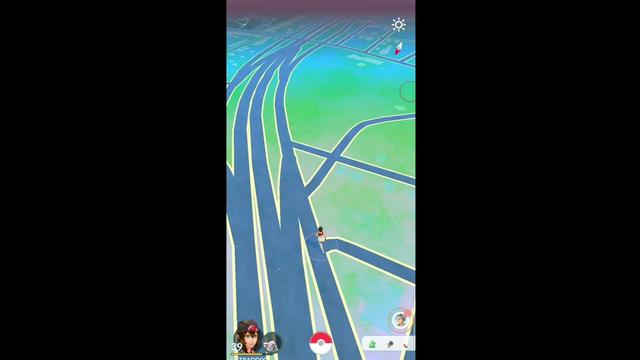 Unveiling Ditto's Disguises: A Look at the Latest Transformations in 2021