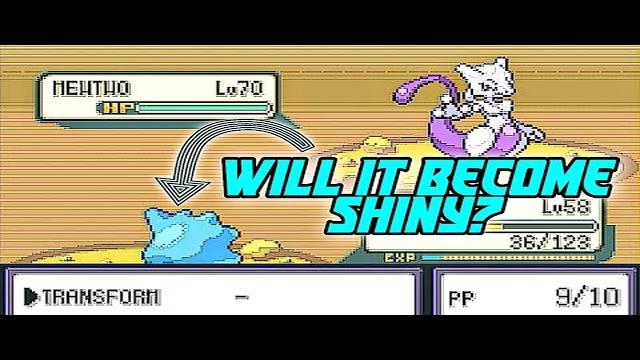 Does shiny Ditto transform into shiny Pokemon?