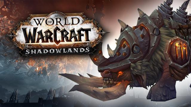 Choosing the Ultimate DPS Hunter Pet in Shadowlands