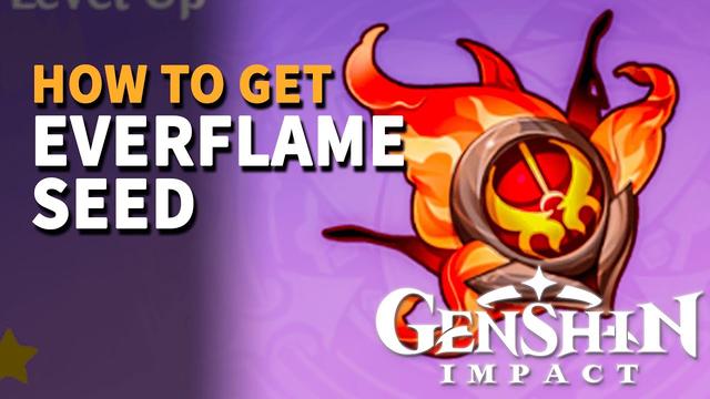 Wo man Everflame Seed in Genshin Impact findet