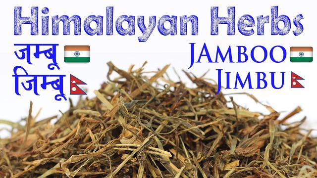 What is Jimbu called in English?