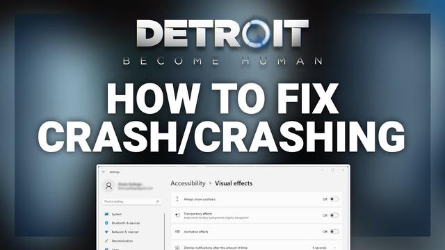 Addressing the Human Crash in Detroit: Strategies for Recovery