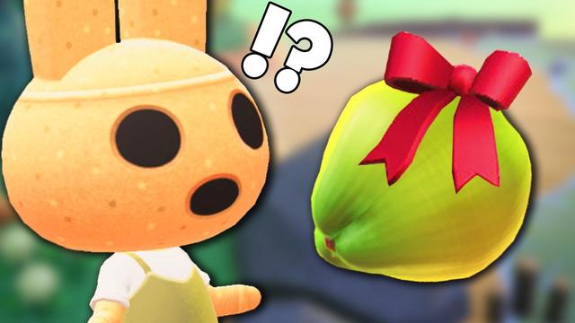¿Qué es Coco Animal Crossing?