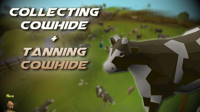 Where to Tan Cow Hides in Runescape: A Guide