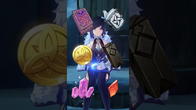 Understanding the Powers of the Parametric Transformer in Genshin Impact