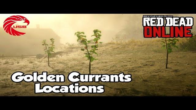 Where to Find Golden Currant in RDR2 Online: Locations and Tips