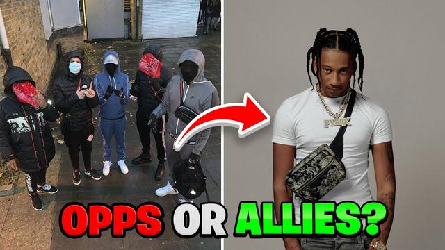 Understanding Gang Ops: Explorar a complexidade e o impacto das ...